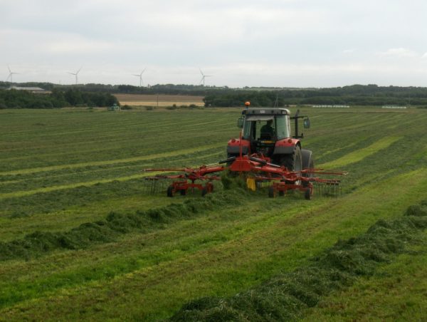 Fransgard BF Rotary Rake - Powells
