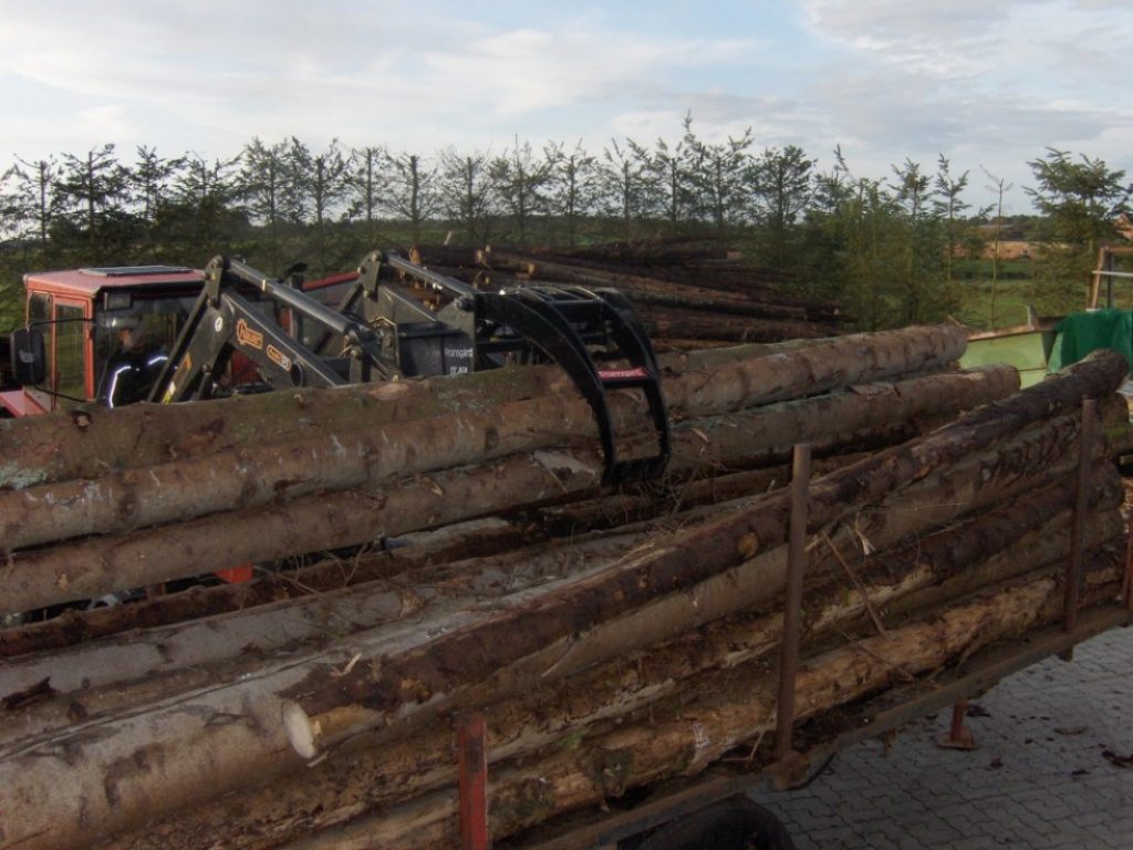 Fransgard SK Forest Grapple - Powells